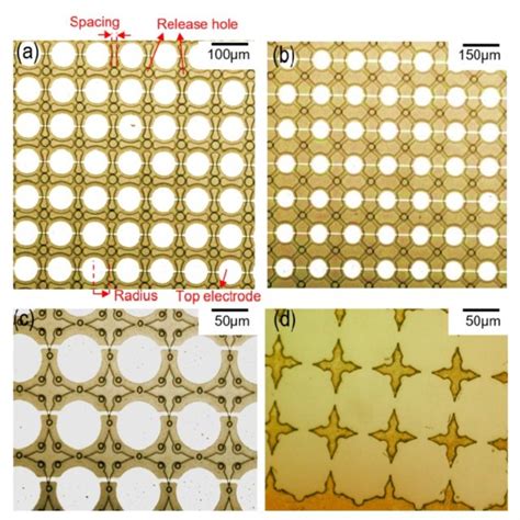 The Pmut Arrays With Various Fill Factors A64 B21 C 80 D Download Scientific
