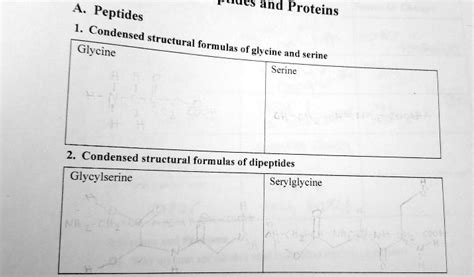 Solved Text Cs And Proteins Peptides Condensed Structural Formulas Of Glycine And Serine