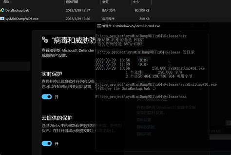 Minidumpwritedump Example