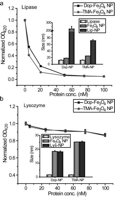 Colorimetric Protein Sensing Using Catalytically Amplified Sensor Arrays PMC