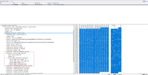 基于scapy修改clienthello的sni三client Hello Sni Csdn博客