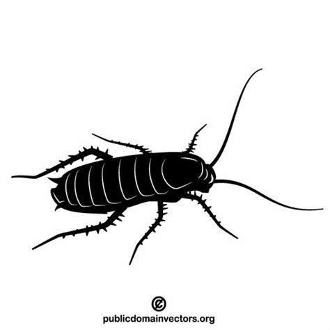 Cockroach Public Domain Vectors