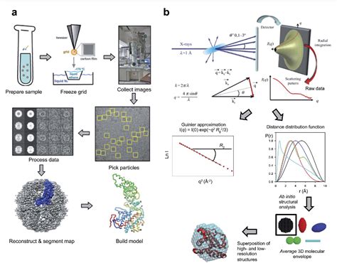 Figure 3 From Uncovering The Structures Of Modular Polyketide Synthases