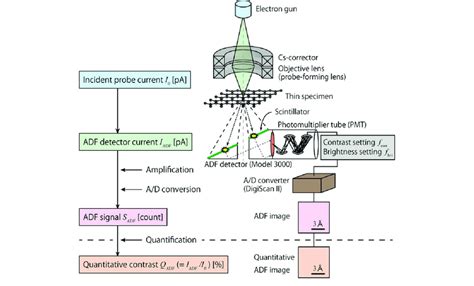 Schematic Representation Of Signal Processing Procedure And Signal