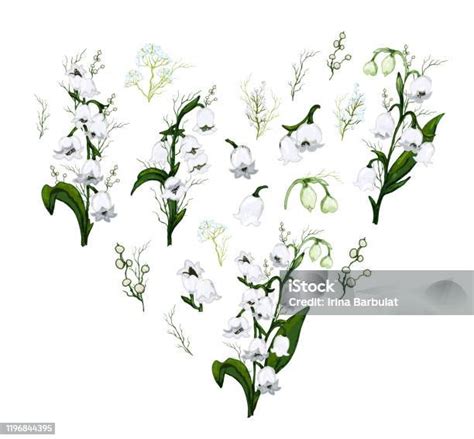 계곡의 백합의 꽃과 손으로 그린 세트 앵초 흰색 배경에 고립 된 현실적인 낙서 장식 장식 프리젠 테이션 배경 화면 심장의 형태로 식물 요소 은방울꽃에 대한 스톡 벡터 아트