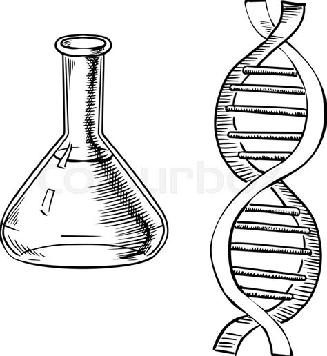 Dna Double Helix Drawing At Getdrawings Free Download
