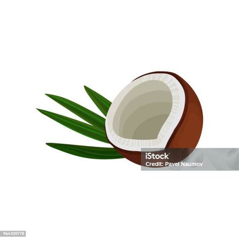 반은 갈색 코코넛과 녹색 잎의 열 대 음식입니다 에코 화장품 엠 블 럼 또는 샴푸 라벨에 대 한 평면 벡터 요소 0명에 대한 스톡 벡터 아트 및 기타 이미지 Istock