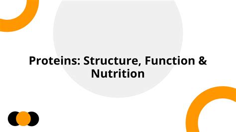Proteins Structure Function And Nutrition Slidebyslideai