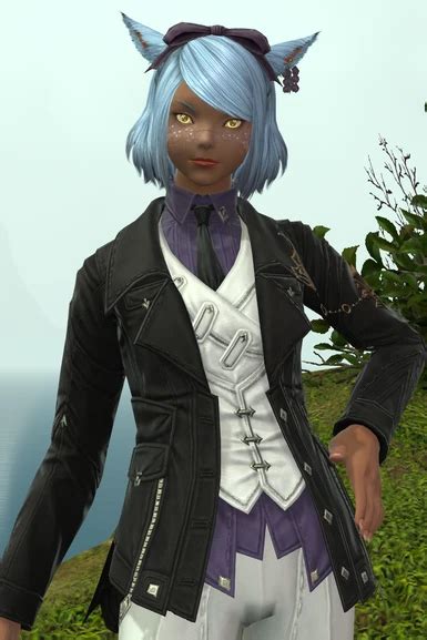 Appointed Jacket Alternate Dyeing At Final Fantasy Xiv Nexus Mods