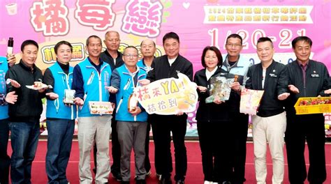 苗縣獅潭鄉「橘莓戀」20日起登場 體驗採果及手作酸柑茶樂趣