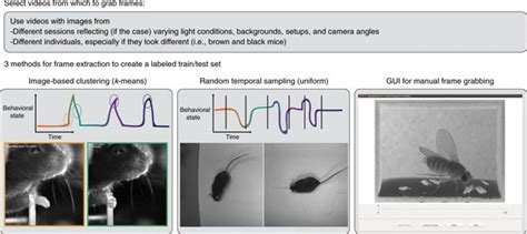 Using DeepLabCut For D Markerless Pose Estimation Across Species And Behaviors Nature