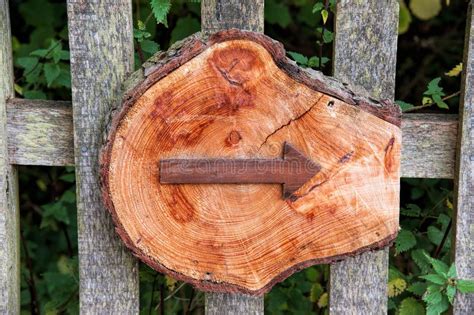 Arrow On Tree Trunk Stock Image Image Of Pointing Bark 34192817