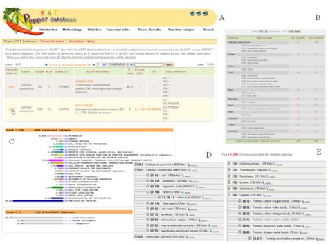 Snapshots Of The Pepper Est Database Web Interface A Annotation