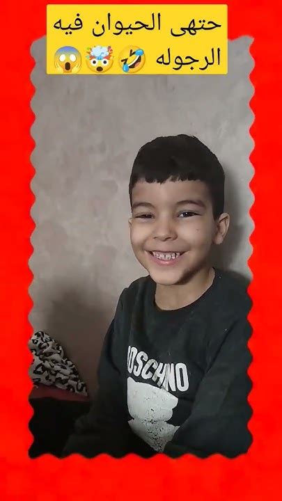 الارنب يدافع على زوجته Youtube