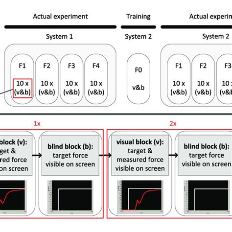 Flowchart Illustrating The Experimental Procedure Subjects Performed Download Scientific