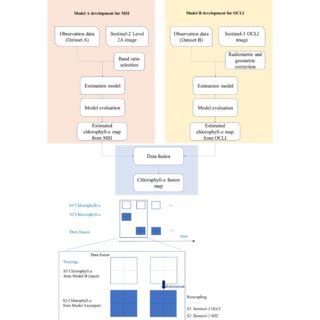 Research Workflow Estimation Model A Chlorophyll A Estimated From