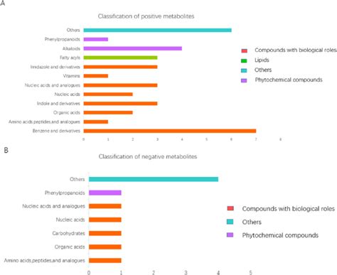 Bar Chart Of Metabolite Classification The X Axis Represents The
