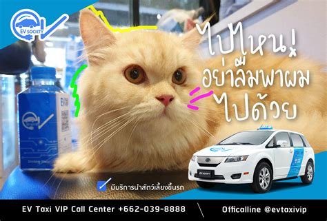 หางาน สมัครงานจาก Ev Society Co Ltd บริษัท อีวี โซไซตี้ จำกัด อัปเดตใหม่ทุกวัน Jobbkk