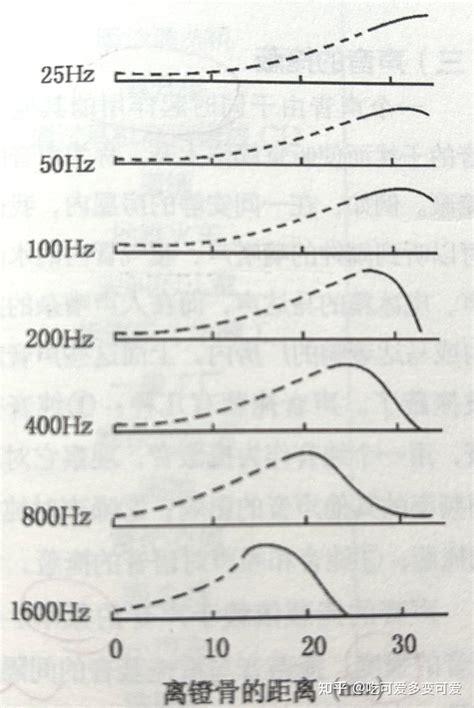普心中的听觉理论（自用） 知乎