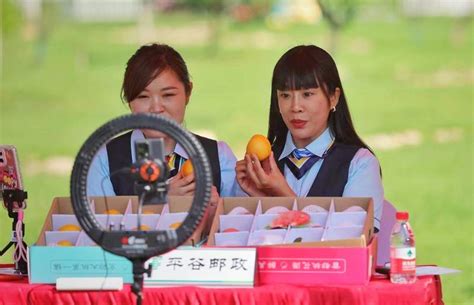 平谷2024鲜桃季正式开启 名优大桃陆续上市 千龙网·中国首都网