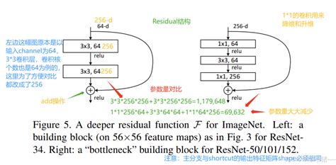 深度学习基础 Resnet网络的讲解，resnet50的复现pytorch以及用复现的resnet50做鸟类图像分类resnet50
