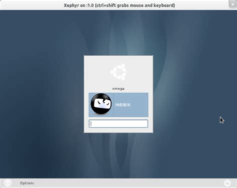 LightDM On Lubuntu Lubuntu