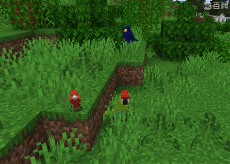 金刚鹦鹉 Macaw 珍奇鸟类 Exotic Birds MC百科 最大的Minecraft中文MOD百科