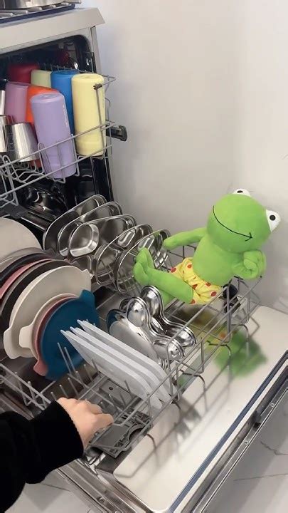 5인 가족 식세기 세제 돌고 돌아 정착한 이유 Youtube