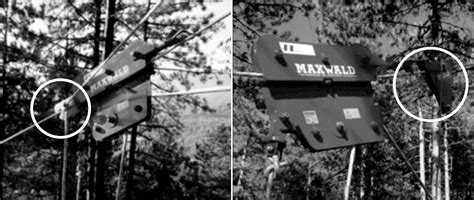 Evaluating Productivity Of Small Scale Cable Yarding System Integrated