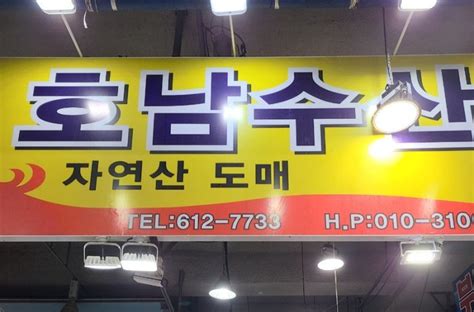 마카오톡 제일 잘즐기는 녀석들 숲 Soop 에펨코리아