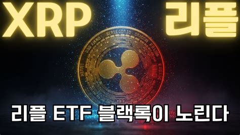 세계최대 자산운용사 블랙록이 리플에xrp 리플 Youtube