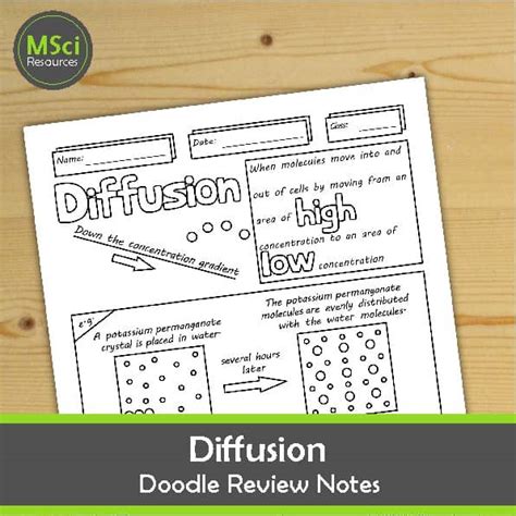 Diffusion Doodle Worksheet Biology By Msci Resources Tpt