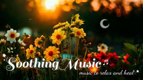 💖1시간 연속 편안한 음악 잠잘오는음악 스트레스 해소 수면 음악 마음을 편하게 해주는 음악 지친하루 휴식할때 듣는 음악 멍때릴 때 좋은 음악 Youtube
