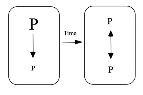 Lecture 1 Convection Diffusion Electric Current Flashcards Quizlet