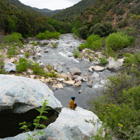 Exploring The Wildlife Of The Pajaro River Watershed A Guide To