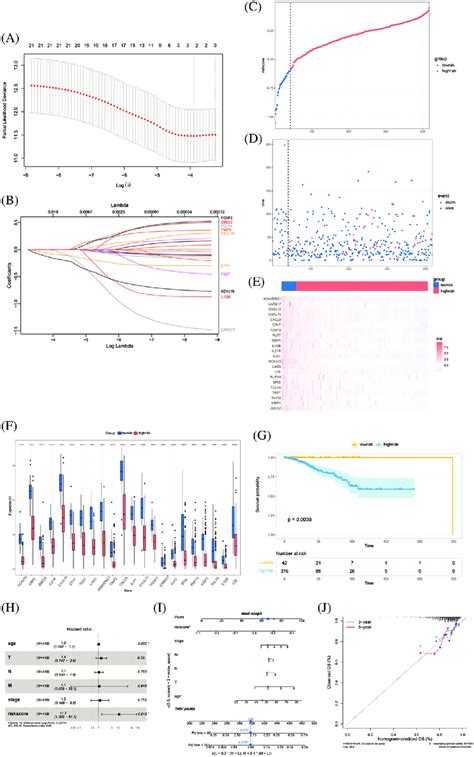 Model Construction And Evaluation A LASSO Coefficient Profiles Of