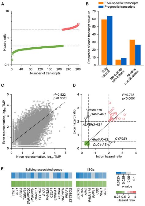 Figur E 4 Pro Gnostic Properties Of Rte Transcriptional Inclusion In