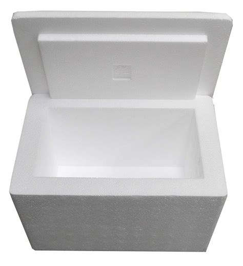 Dry Ice In Styrofoam Cooler At George Buttenshaw Blog