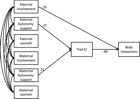 Graphical Representation Of The Significance Paths Of The Structural Download Scientific