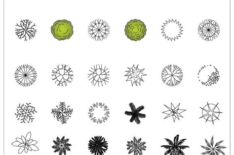 Trees Plan Cad Block Image To U