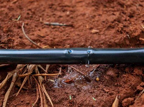 Best Irrigation Systems In Kenya Aqua Hub Ltd 0790719020