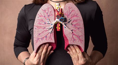 Stem Cell Treatments For Lungs Paths To Relief And Recovery