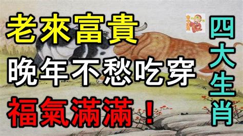 老來富貴的四大生肖晚年不愁吃穿福氣滿滿 PEEKME