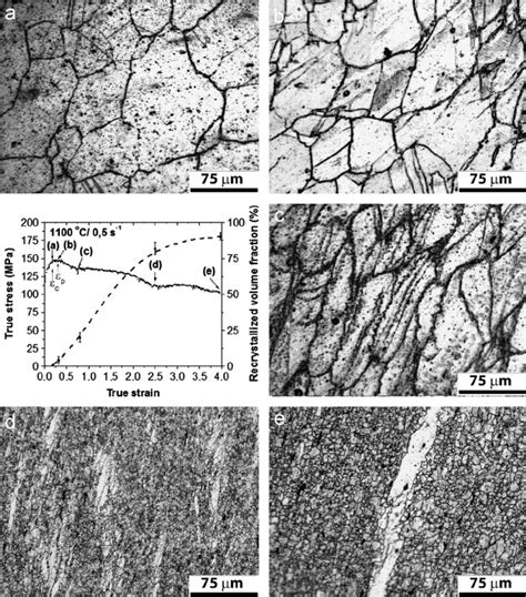 Flow Stress Curve And Microstructure Evolution During Straining At 1100 Download Scientific
