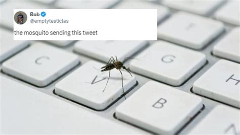 Photo Of Mosquito Sending Tweet Goes Viral With More Than Three