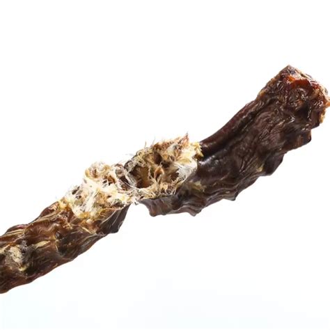 ბაგიკო ძაღლის სასუსნაო იხვის კისერი Veli Store