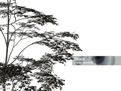 실버 트리 흰색 배경에 고립의 3d 렌더링 강철에 대한 스톡 사진 및 기타 이미지 강철 금속 금속의 Istock