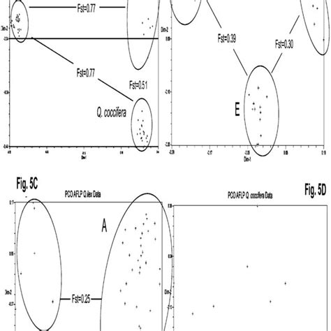 Principal Coordinate Analysis Based On Genetic Similarities Of Aflp