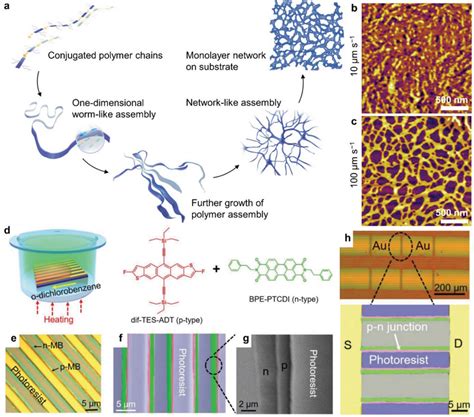 Ordered Nanostructures Of Conjugated Molecules And Polymers Through Download Scientific Diagram
