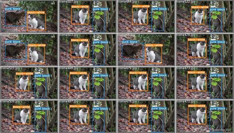 目标检测yolov5算法——两猫咪打架视频识别目标检测猫抓沙发 Csdn博客